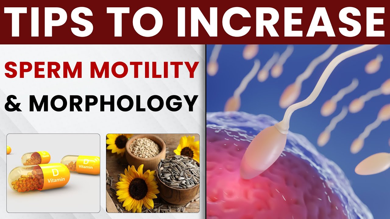 Follow these tips to Increase your Sperm Motility & Morphology ...