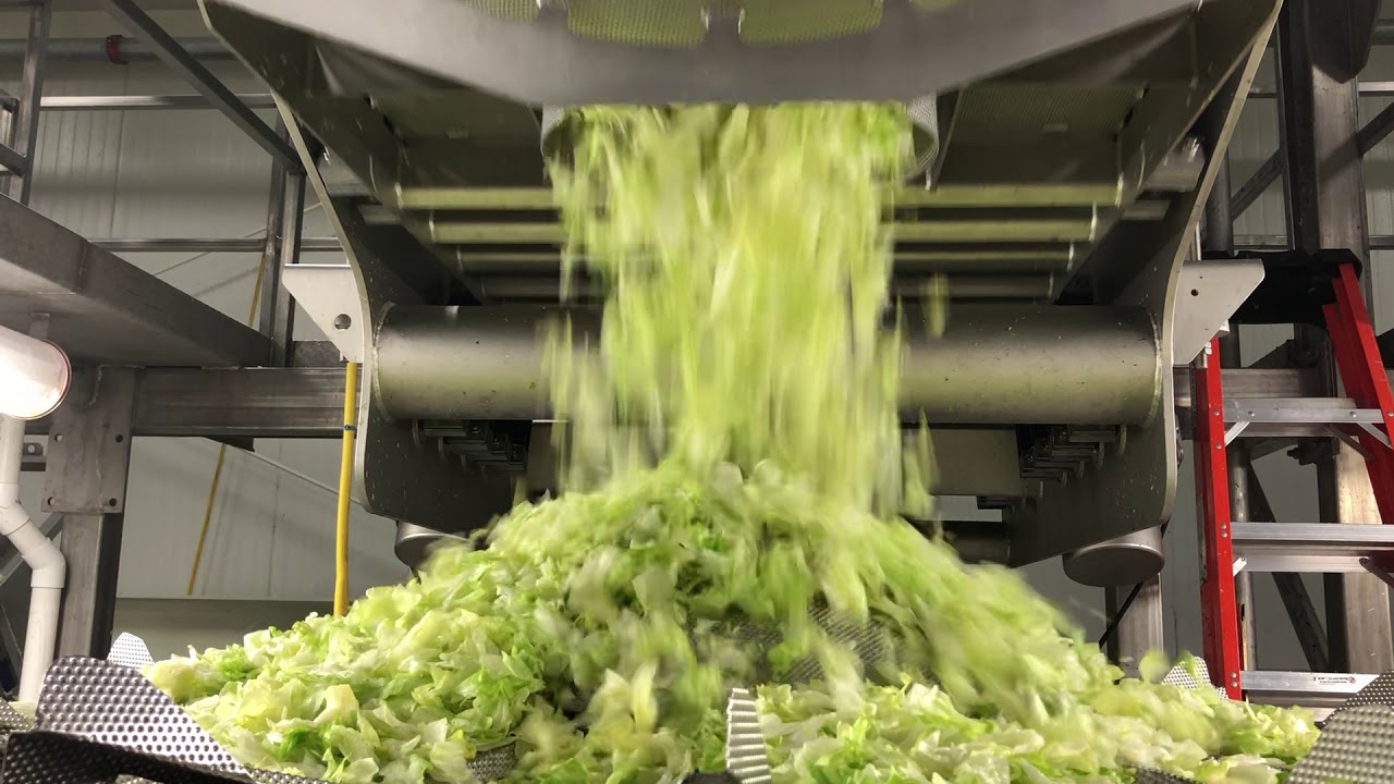 TLF Pack Machine 2 - YouTube