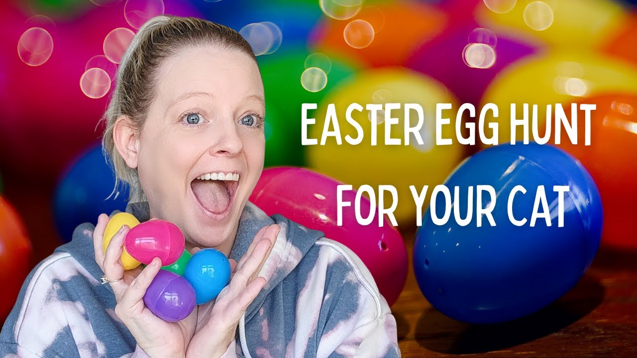 Have A Easter Egg Hunt With Your Cat - YouTube