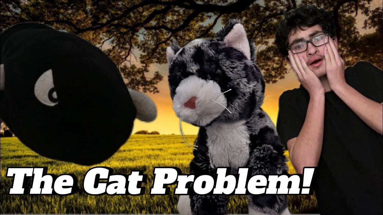 SPC: The Cat Problem! - YouTube