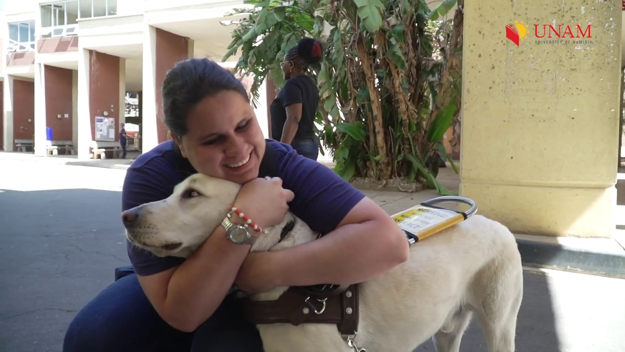 Meet Ringo: The Guide Dog on Campus - YouTube
