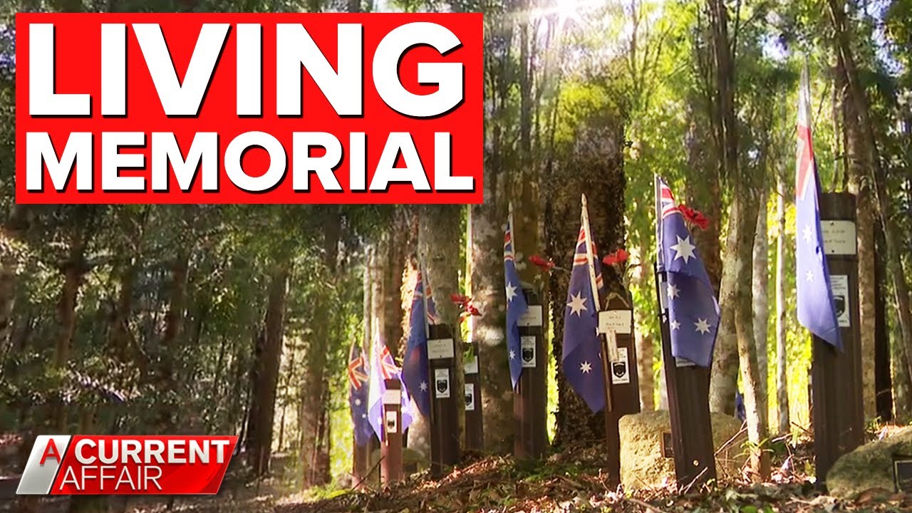 The most beautiful 'living' memorial you've never seen | A Current ...