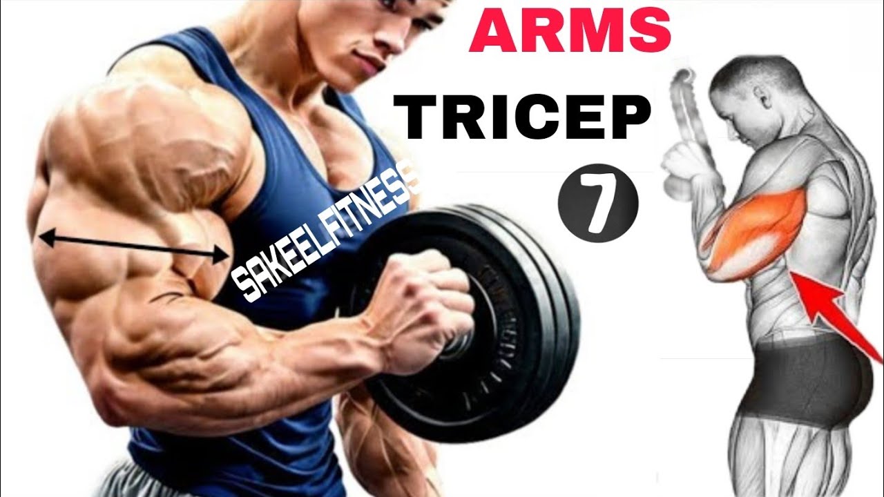 tricep workout arm workout bicep workout arms workout triceps workout ...
