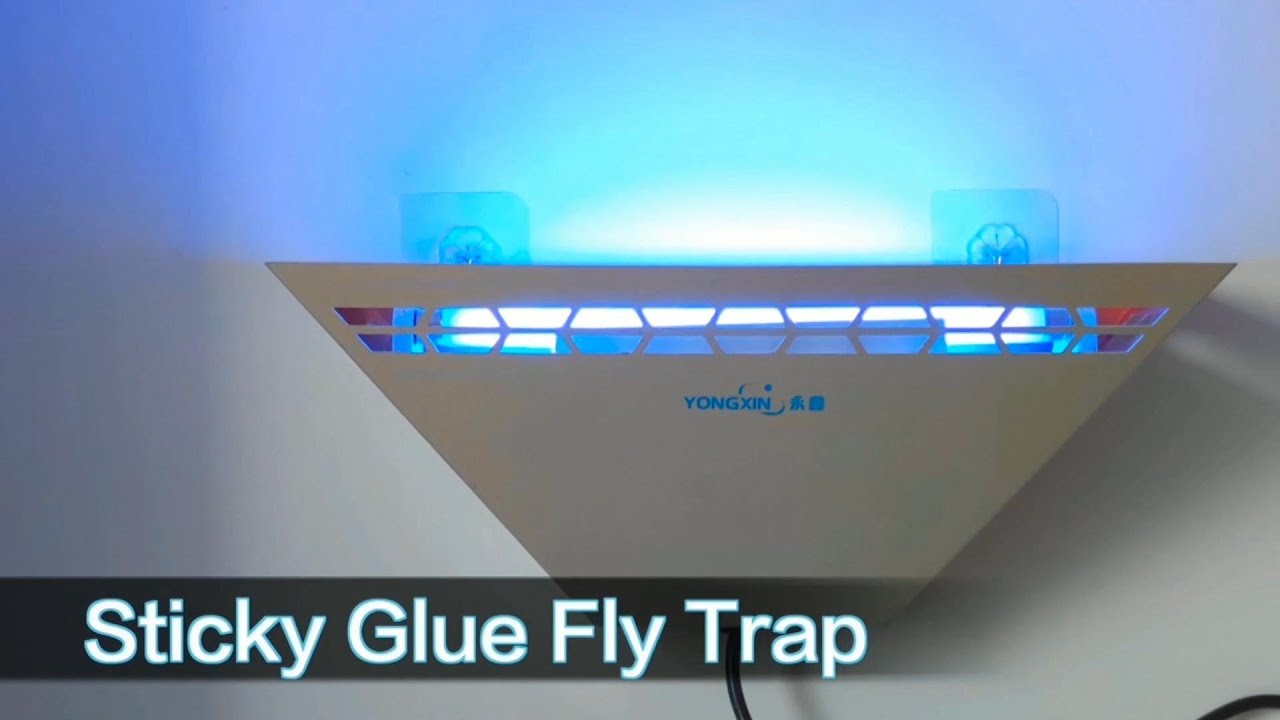 Insect Light Trap Glue Board - YouTube