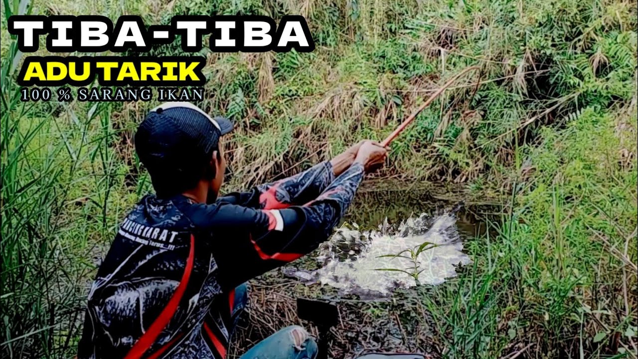 Pemancing panik ujung-ujungnya adu tarik dengan ikan - YouTube