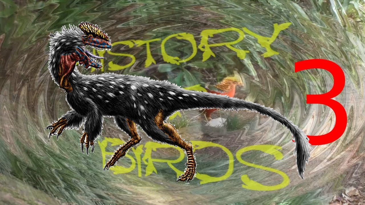 History of Birds, Part 3 - Theropods - YouTube