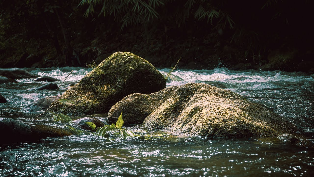 Photography 250mm only : Sungai Pangsun - YouTube