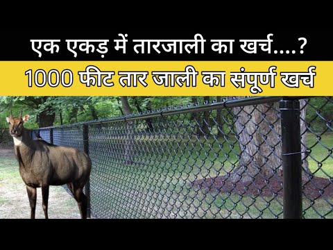 1000 फिट या एक एकड़ में तार जाली का संपूर्ण खर्च 2024 | Taar Fencing ...