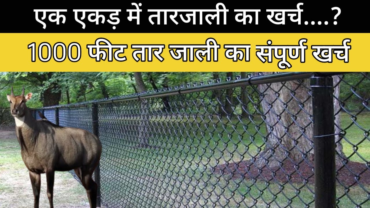 1000 फिट या एक एकड़ में तार जाली का संपूर्ण खर्च 2024 | Taar Fencing ...
