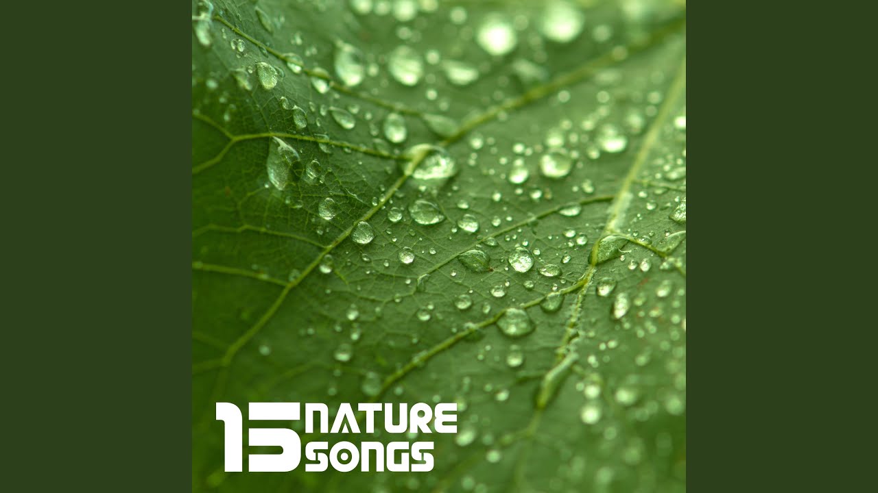 Instrumental Nature Sounds - YouTube