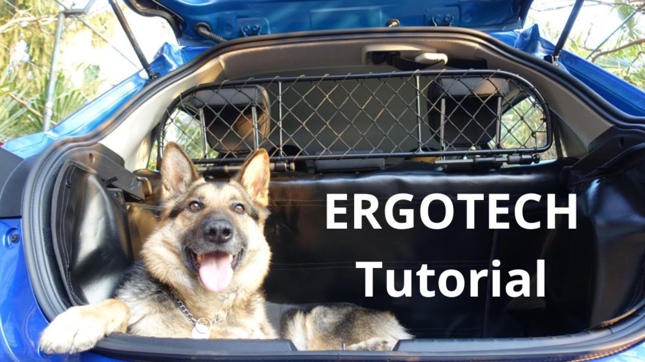 ERGOTECH Video Tutorial - YouTube