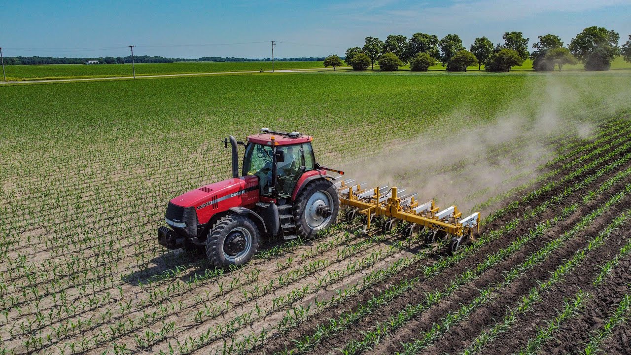 1st Pass RowCrop Cultivating Organic Corn | Illinois Farm Vlog #40 ...