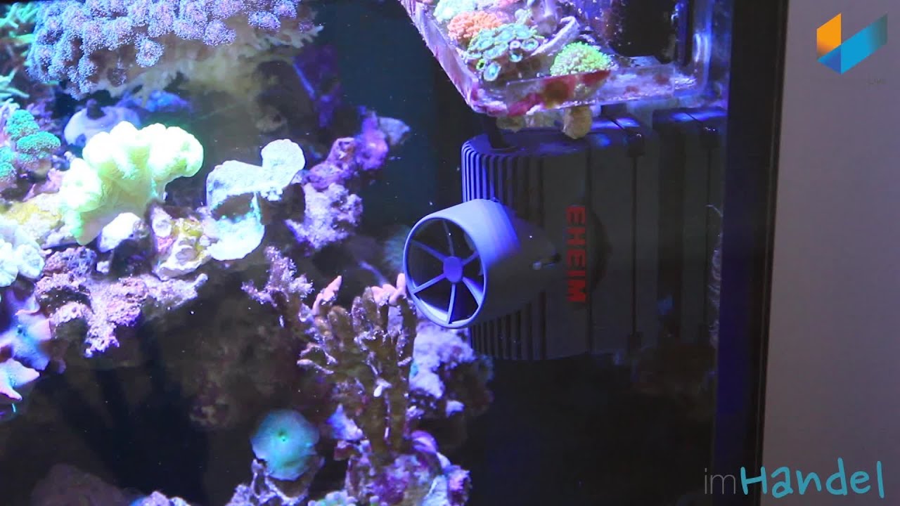 Eheim Strömungspumpe streamON+ | Review | Meerwasser Live TV - YouTube