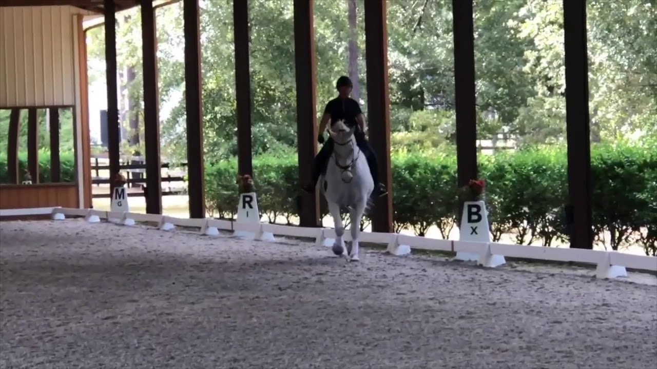 Vaughn Equestrian Presents Silver - YouTube