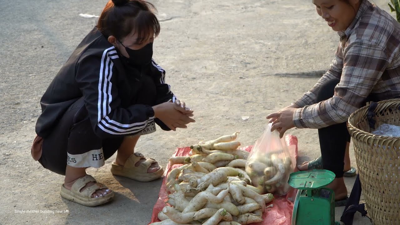 Single mother: Harvesting radishes to sell with her son - How to ...