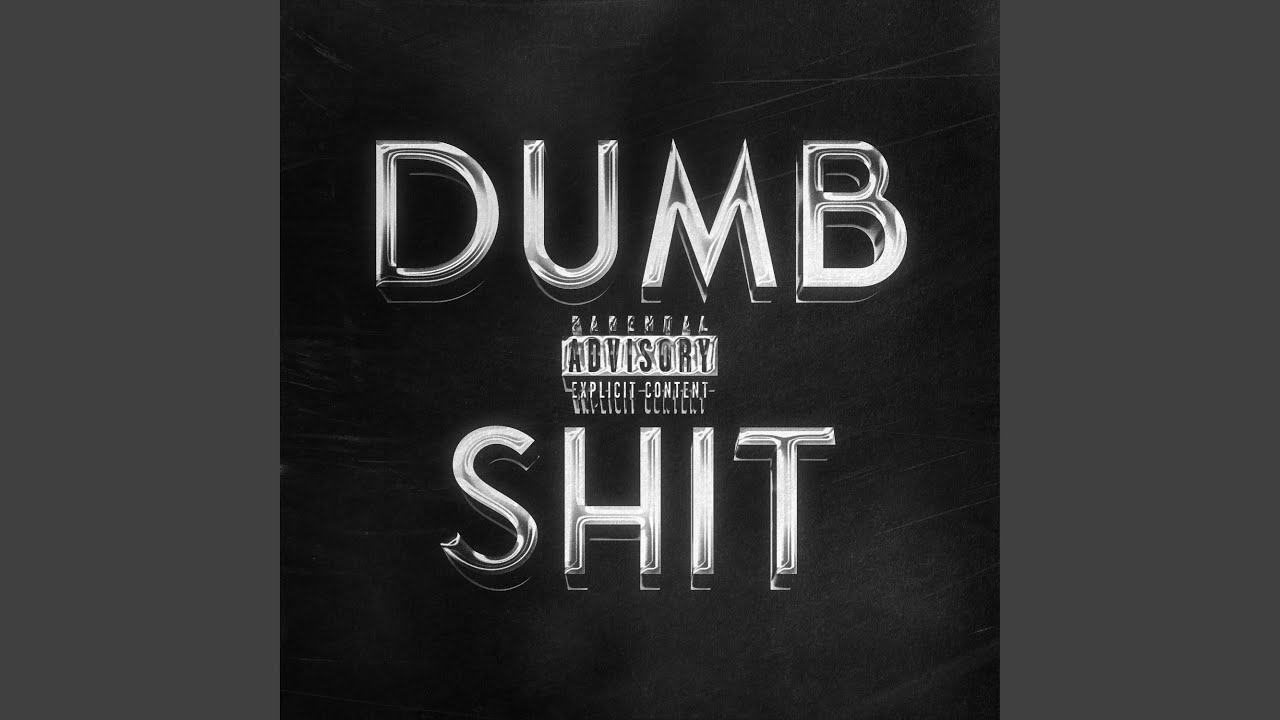 DUMB SHIT - YouTube