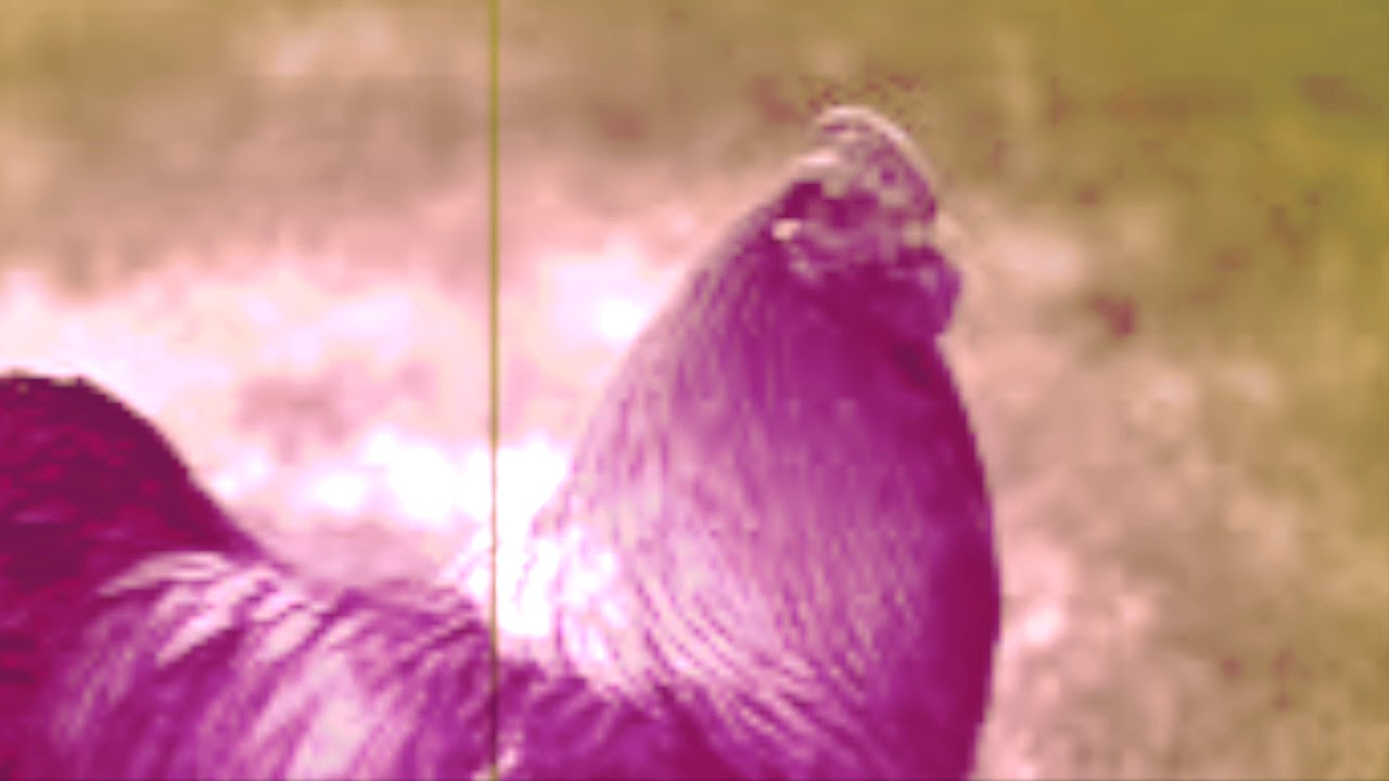 Infernal iMovie Chicken - YouTube