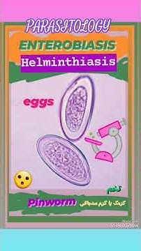 Enterobiasis,pinworm,Enterobius vermicularis 📢(کرمک)🔉🖐👍Parasitology👍🔬 ...