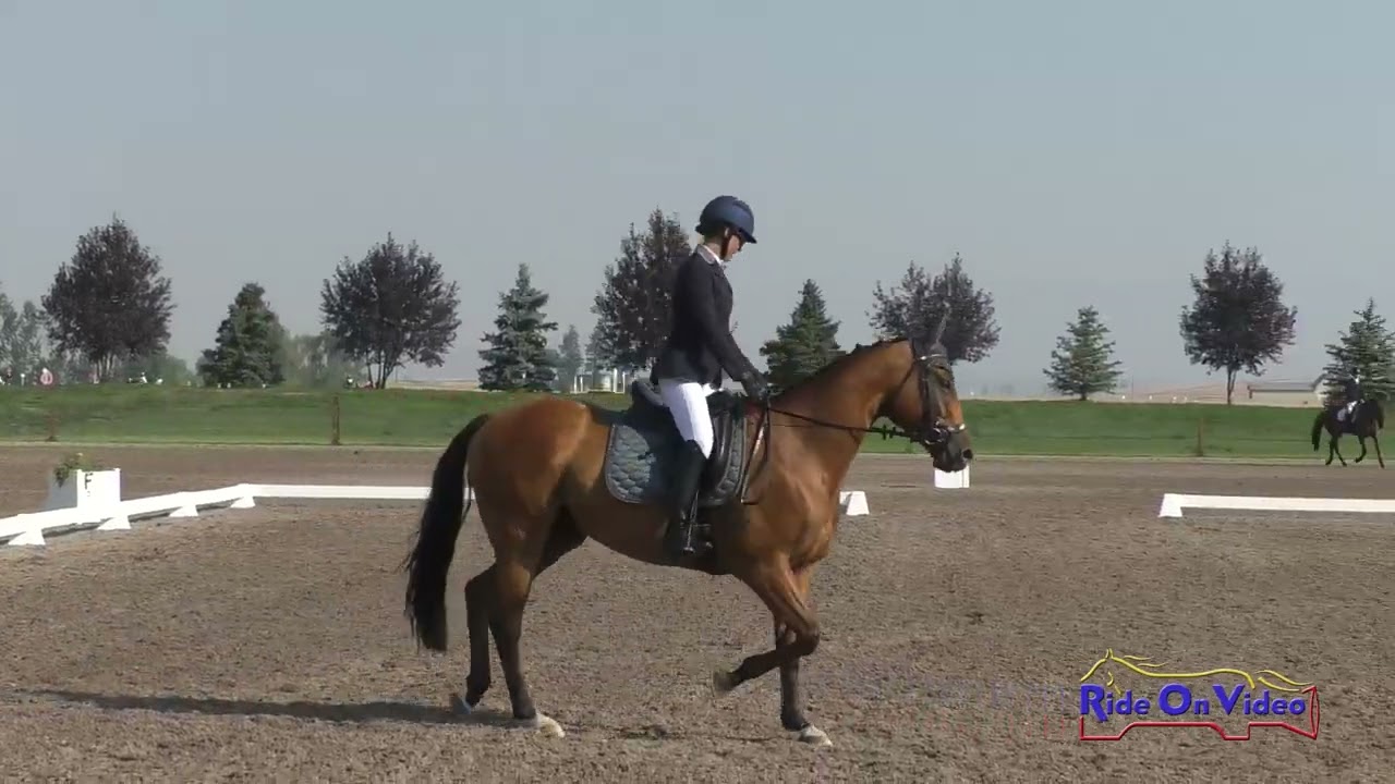 282D Britany Chism Crown on Mr Popcorn Beginner Novice AM Championship ...