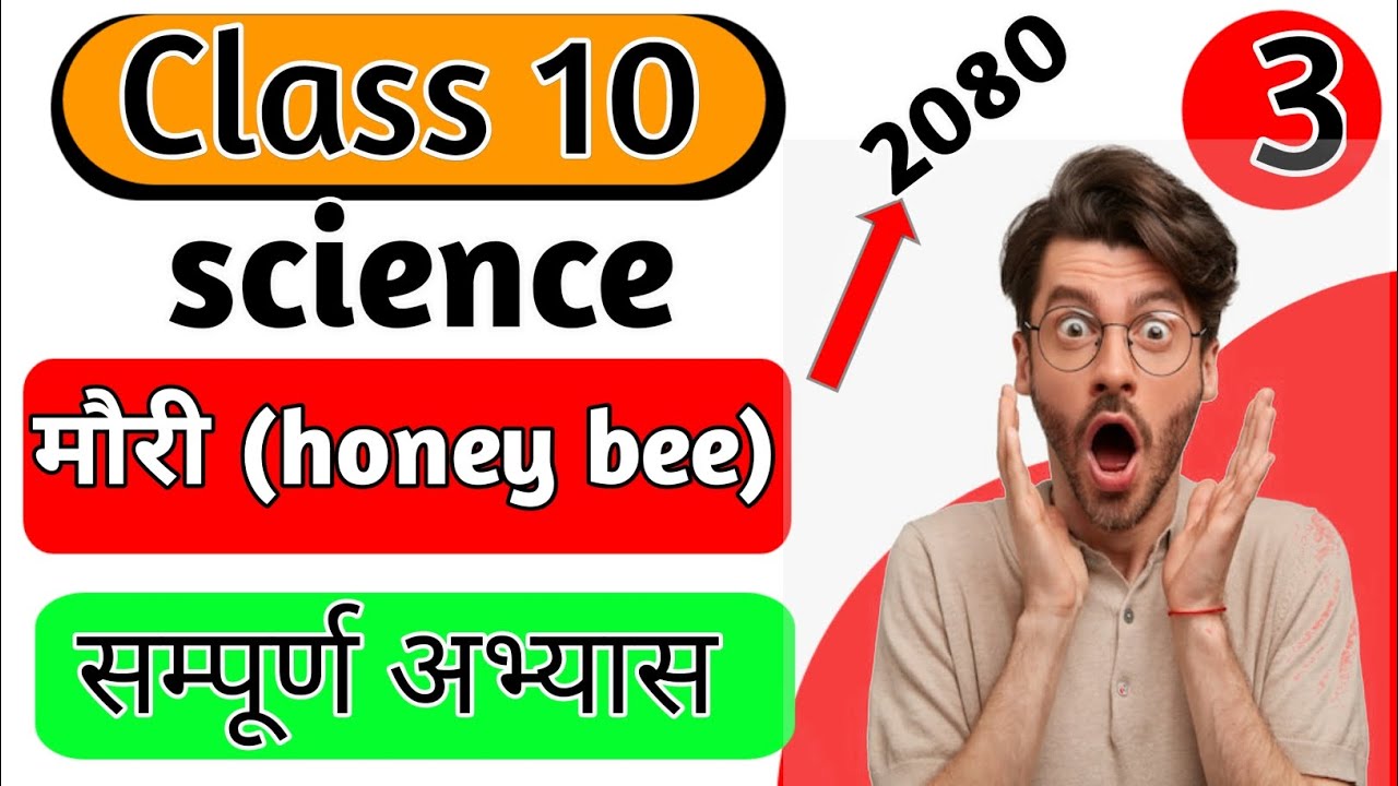 class 10 science chapter 3 exercise||class 10 science unit 3 question ...