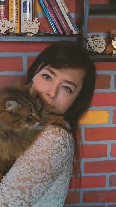 Why do cats attack humans #shortvideo #viralvideo - YouTube