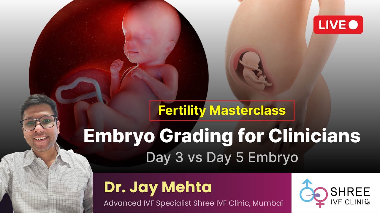 Fertility Masterclass 33 - Embryo Grading for Clinicians | Day 3 vs Day 5 Embryo| Time Lapse ...