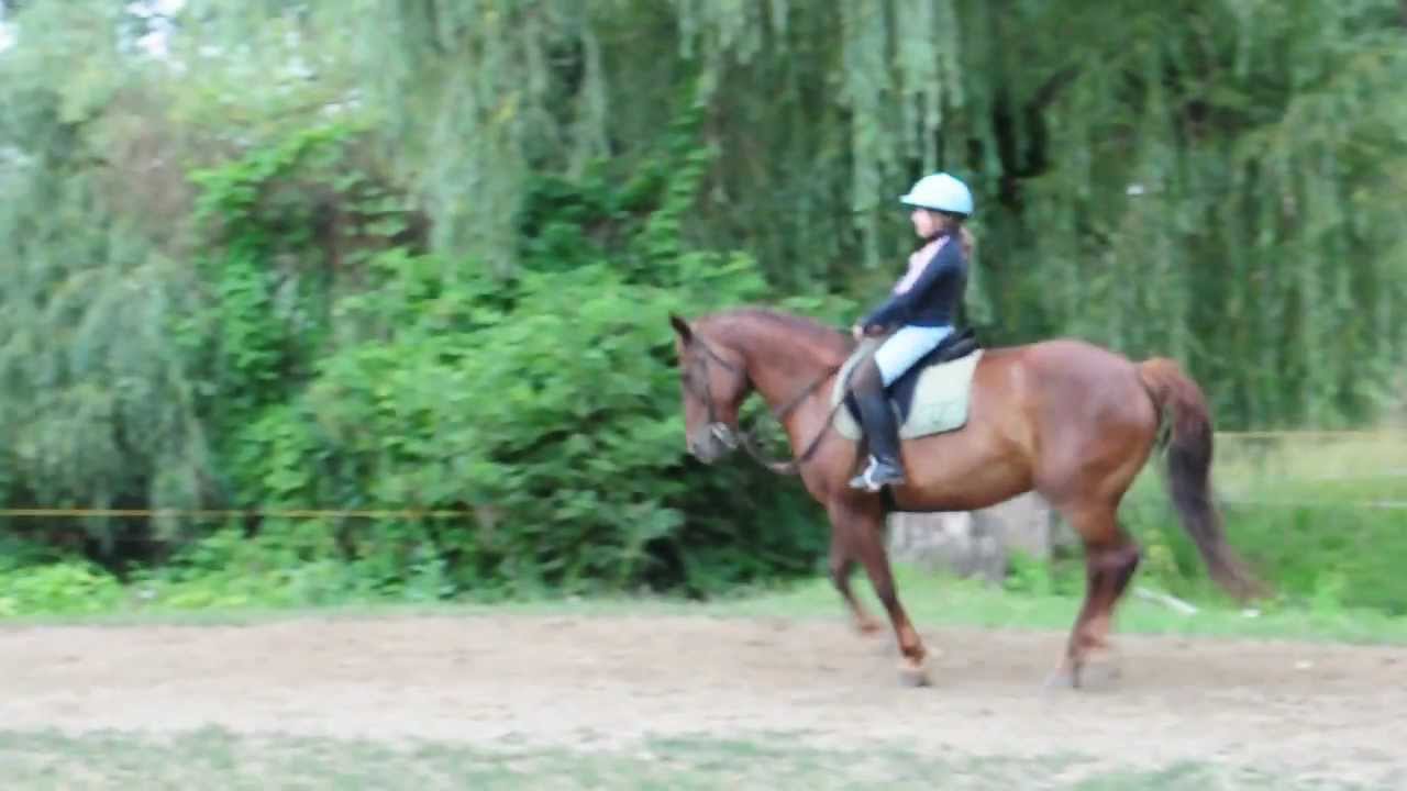 Musztáng Lovasudvar - Lovastábor - 2012. Július 13. - Durcás - YouTube