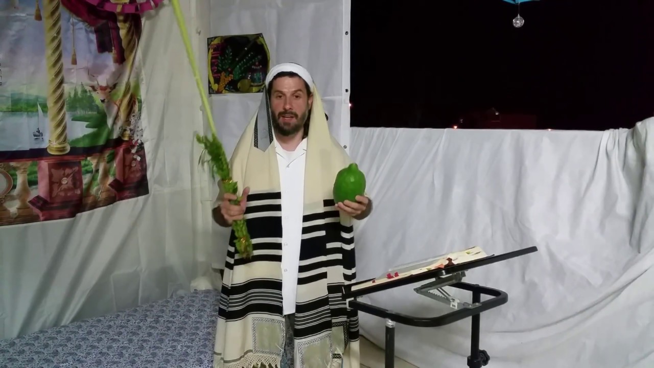 Why the 'Yemenite' Ethrogh, How We Wave the Lulav - YouTube