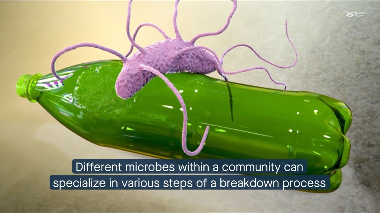 Tackling the global plastic waste crisis with microbial communities ...