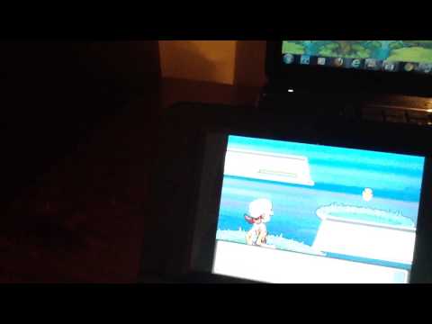 (SW) Shiny Onix in Heartgold Safari Zone .... Win or fail xD