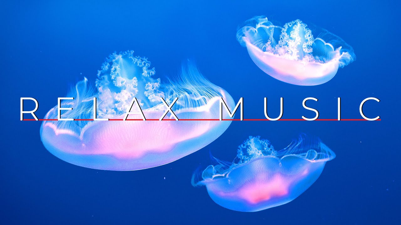 Relax Music 2023 Chillout Essential Mix Session Background Chill Out ...