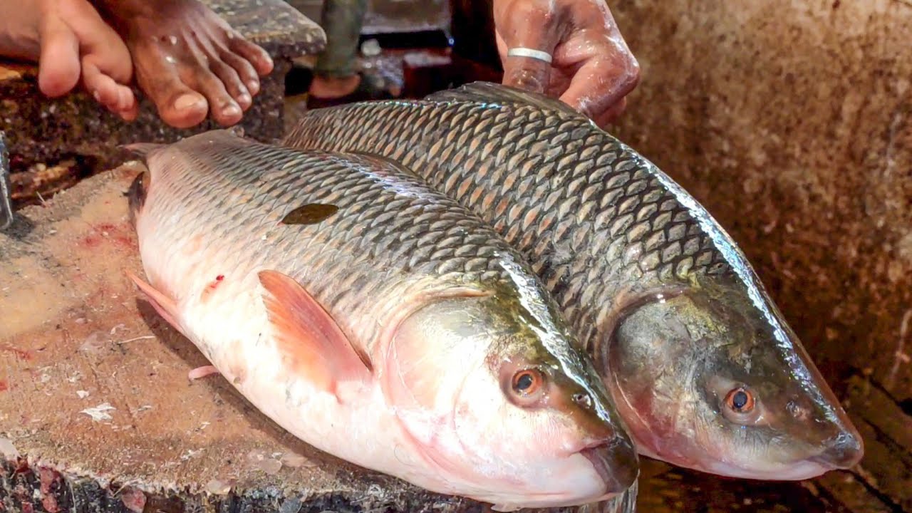 Incredible Giant Rohu Fish Cutting Live In Bangladesh | Live Cutting ...