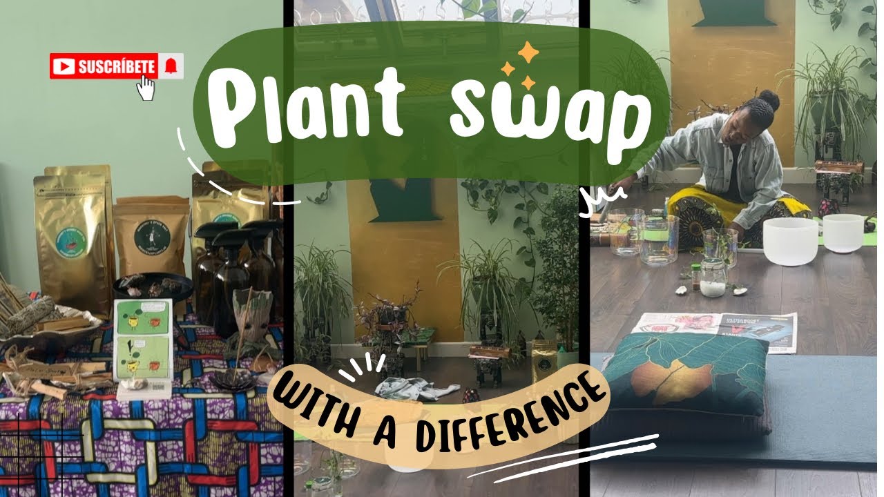 🌿 A Plant Swap Like No Other | Unexpected but Beautiful Experience 🪴 ...
