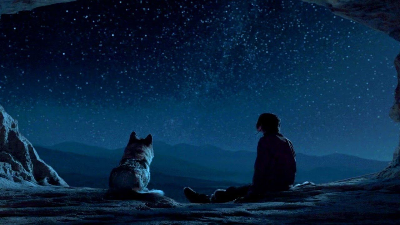 Alpha 2018 - Bressanone - Matthew Lien - A depressed and lonely wolf ...