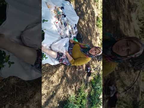 Doğa da kahvaltı