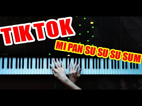 MI PAN SU SU SU SUM - TikTok Song - Easy Piano by VN