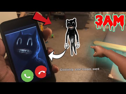 CALLING CARTOON CAT ON FACETIME AT 3:OOAM!!! ( AND HE CAME TO MY HOUSE ...