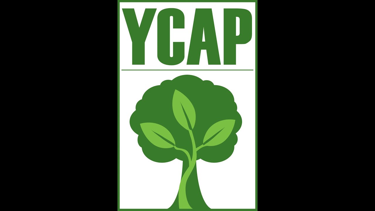 YCAP Promo (2016) - YouTube