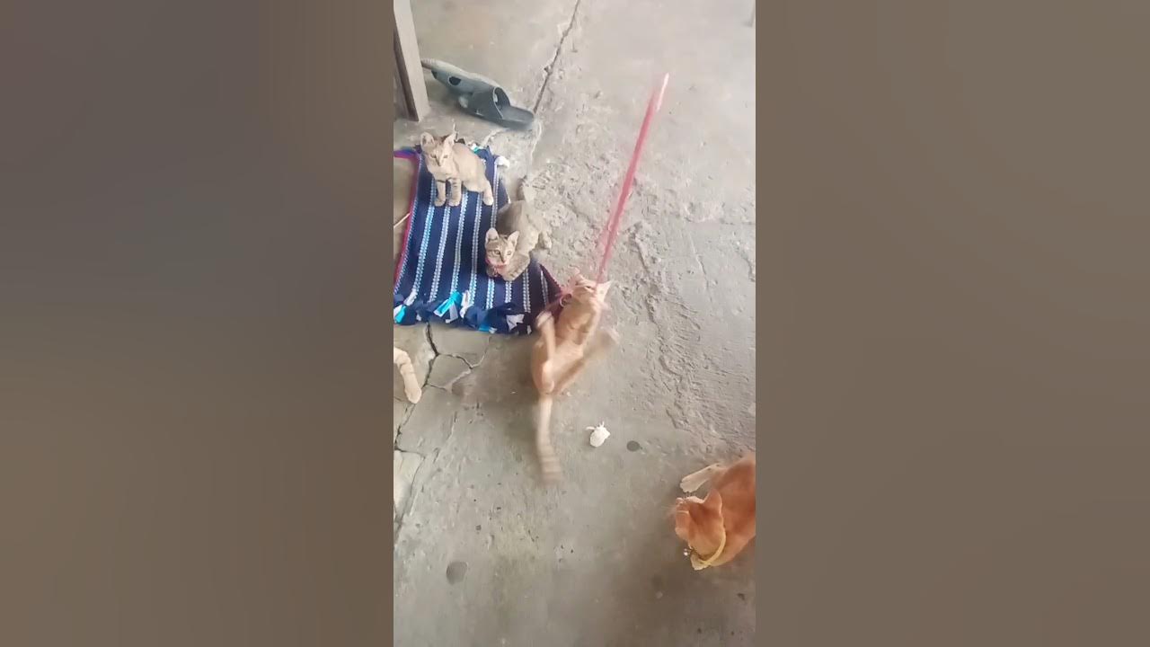 9 มีนาคม ค.ศ. 2025 - YouTube