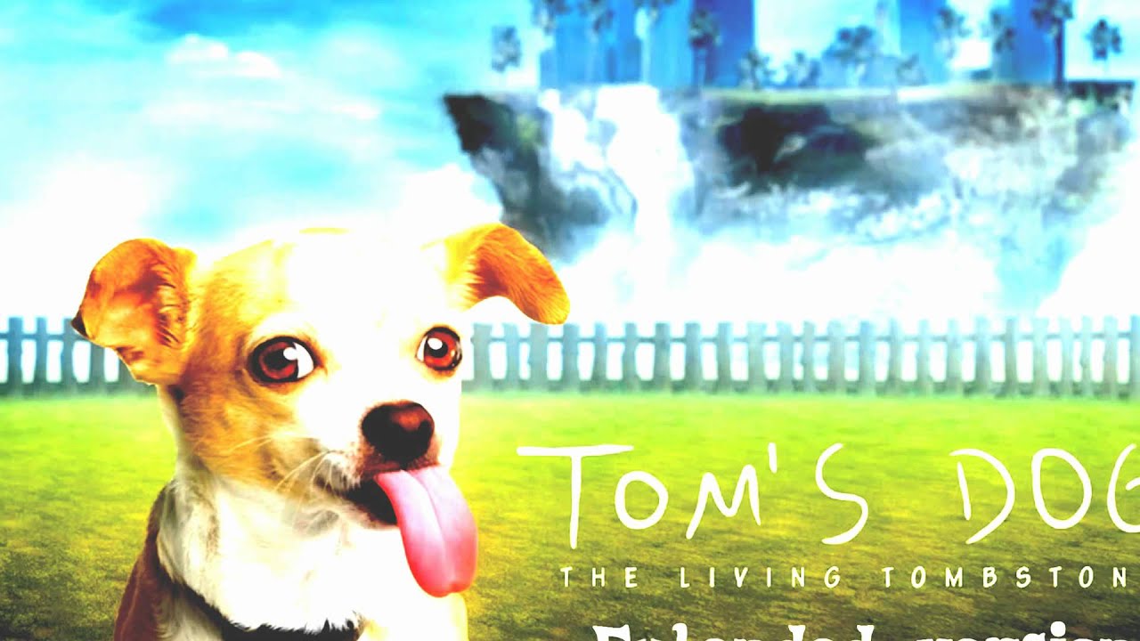 tom's dog - YouTube