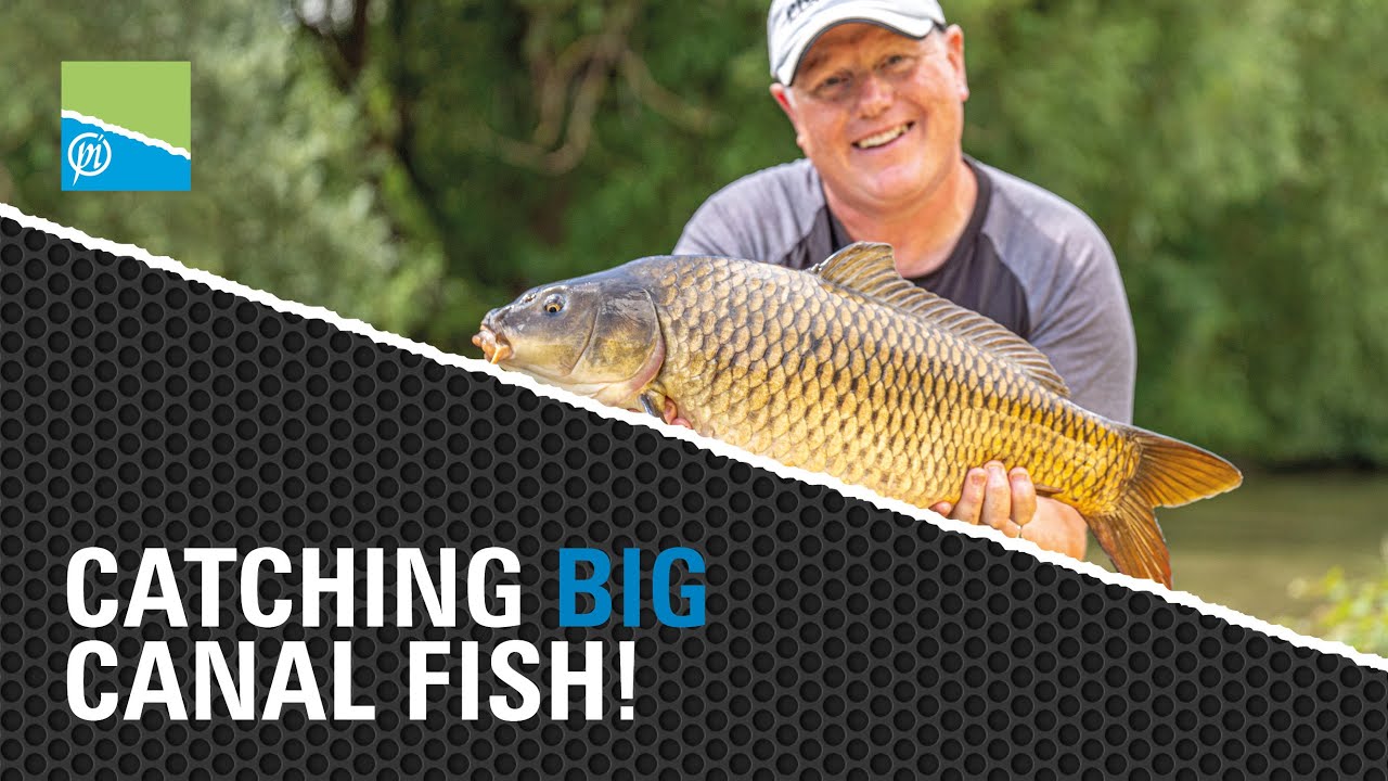 Catching BIG Canal Fish On The Pole | Preston Innovations - YouTube