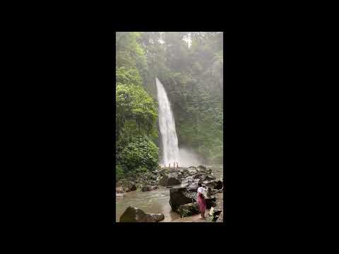 #bali #travel #şelale #kuşsesi #orman #nature #endonezya #huzur #rahatlatıcıvideo