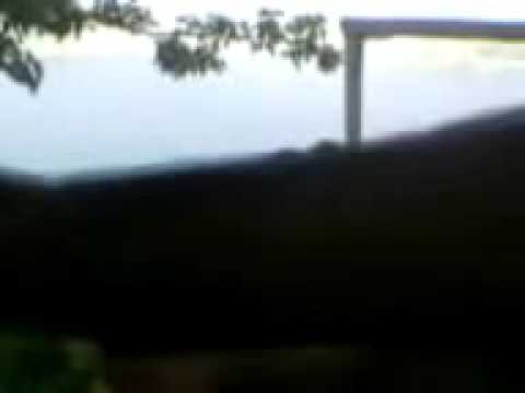 Yavru Keklik Sesi