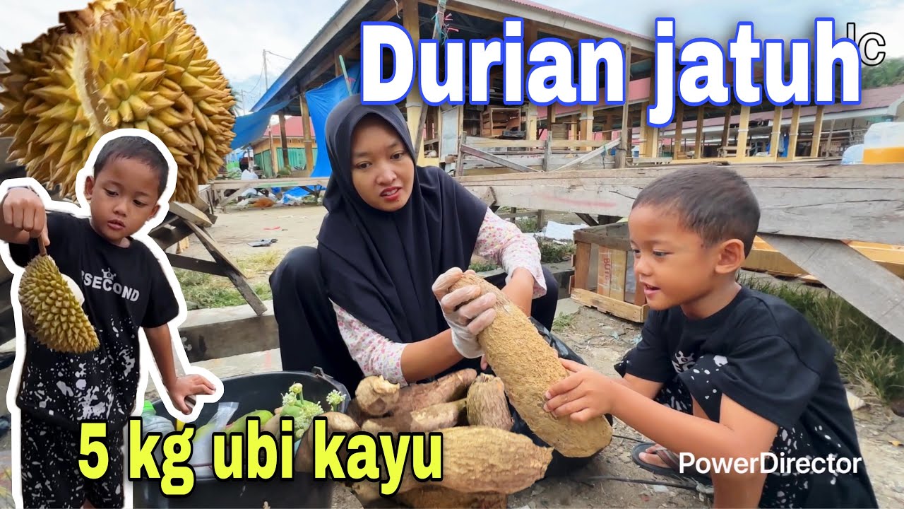 DURIAN JATUH DAN UBI KAYU 5 kg⁉️ BISA BUAT KOLAK DURIAN DAN KRIPIK UBI ...