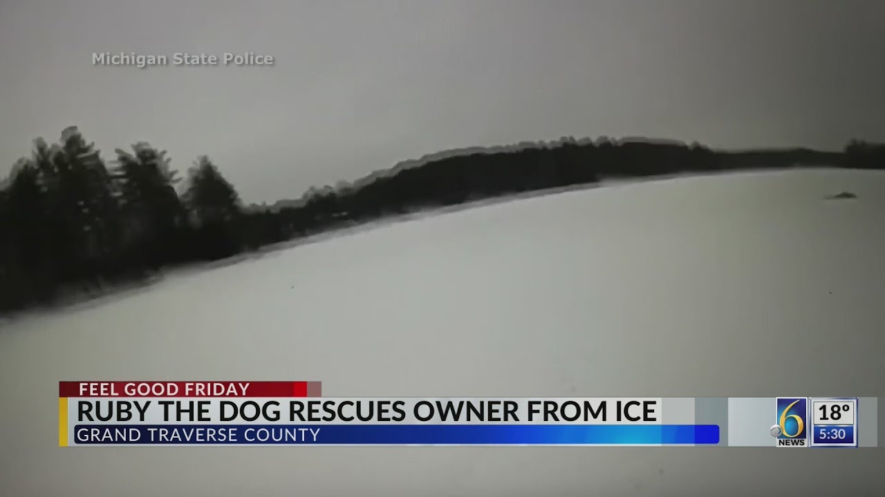 Ruby the dog rescues owner from ice - YouTube