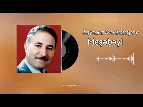 Meşəbəyi - Teymur Mustafayev( Rəsmi musiqi videosu)
