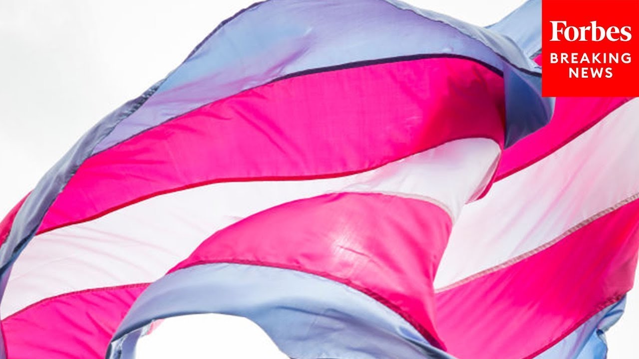 State Dept. statement on Transgender Day of Visibility - YouTube