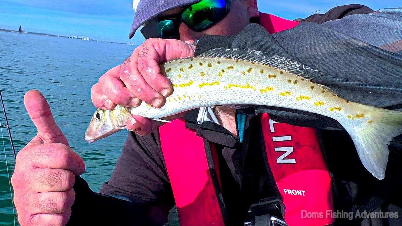 FISHING A MIXED BAG OF FISH TUCKER- KG WHITING- WITH A FLOODED ENGINE ...