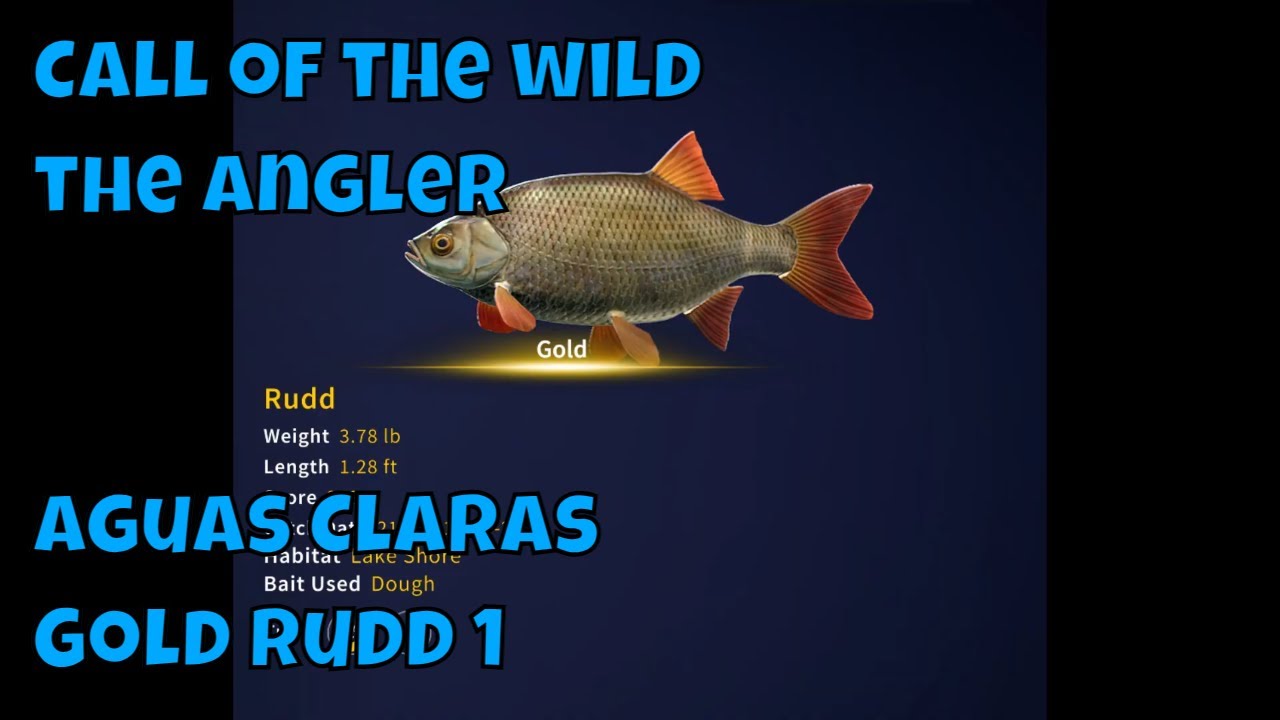 Call of the wild the Angler, Aguas Claras- Gold Rudd 1 - YouTube