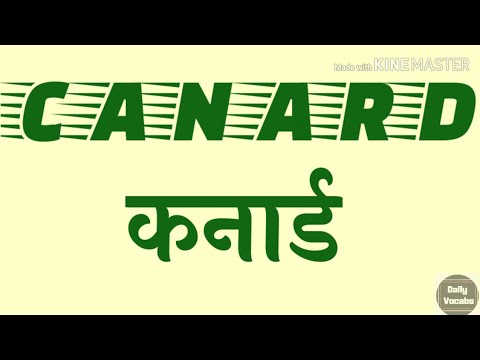 Canard meaning - YouTube